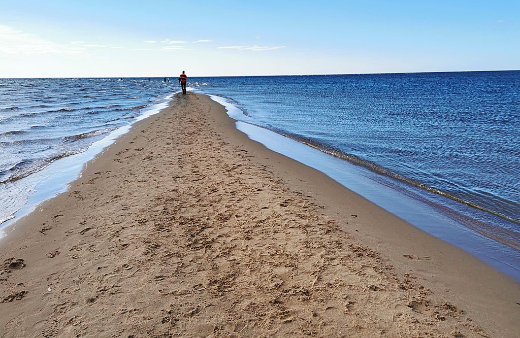 Tejuka - lehti | Vaeltaja