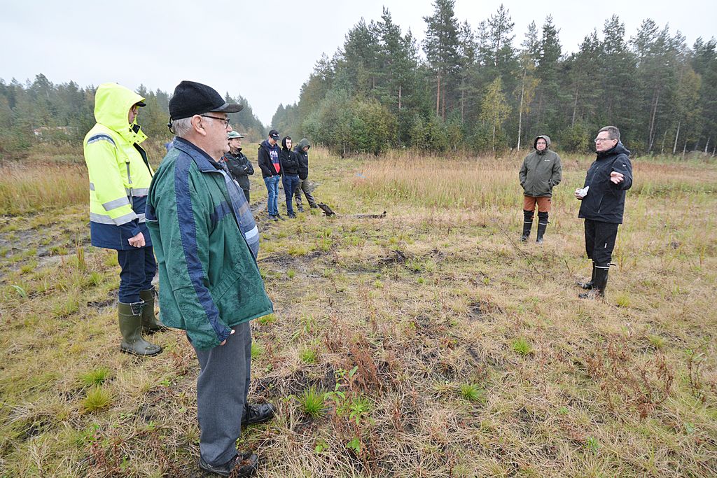 Tejuka - lehti | Pajuja voidaan istuttaa entisille turvetuotantoalueille