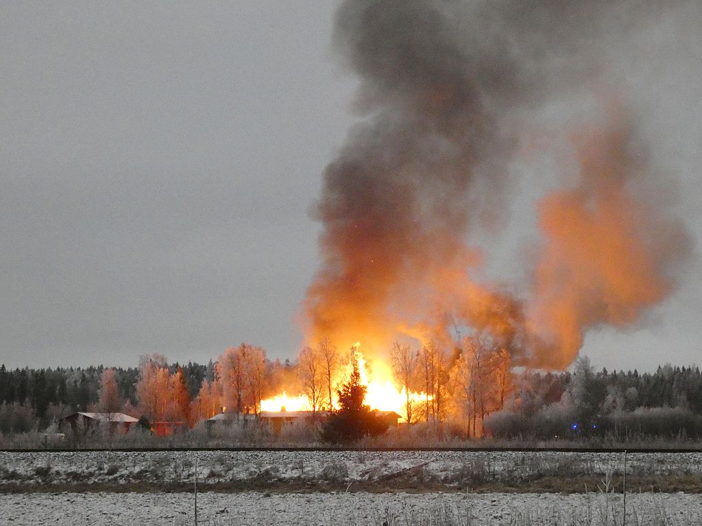 Tejuka - lehti | Vko49Kuva