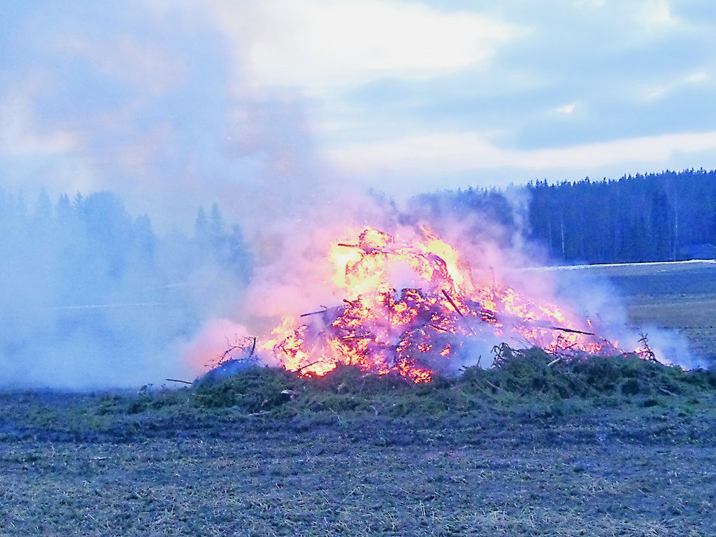 Tejuka - lehti | Pääsiäis-