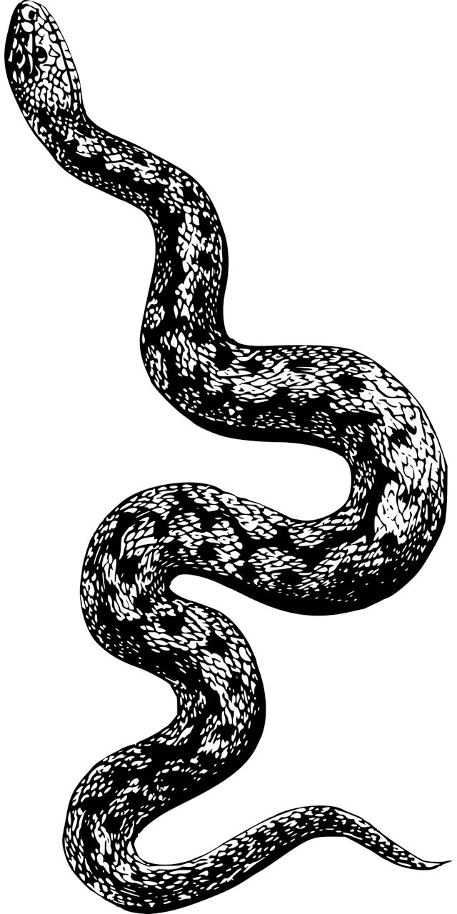 Tejuka - lehti | Kyy